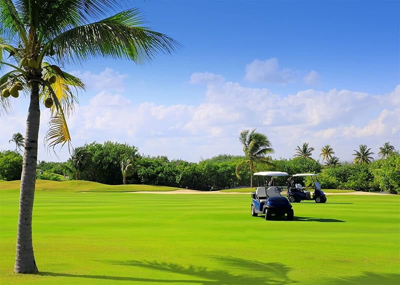 Fabric Golf Course Backdrop Woodland Green Grass Lawn Tropical Palm ...