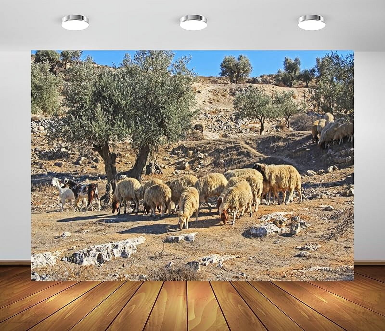 Fabric Old City Jerusalem Backdrop Sheep Grazing on Mount of Olives, Jerusalem Background Party ...