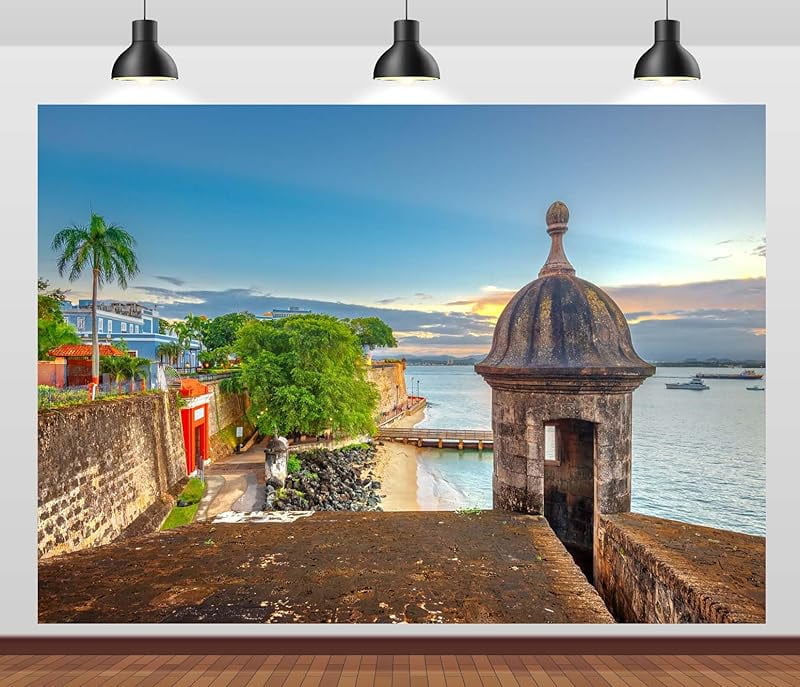Fabric Puerto Rico Backdrop San Juan Puerto Rico Caribbean Coast Along ...