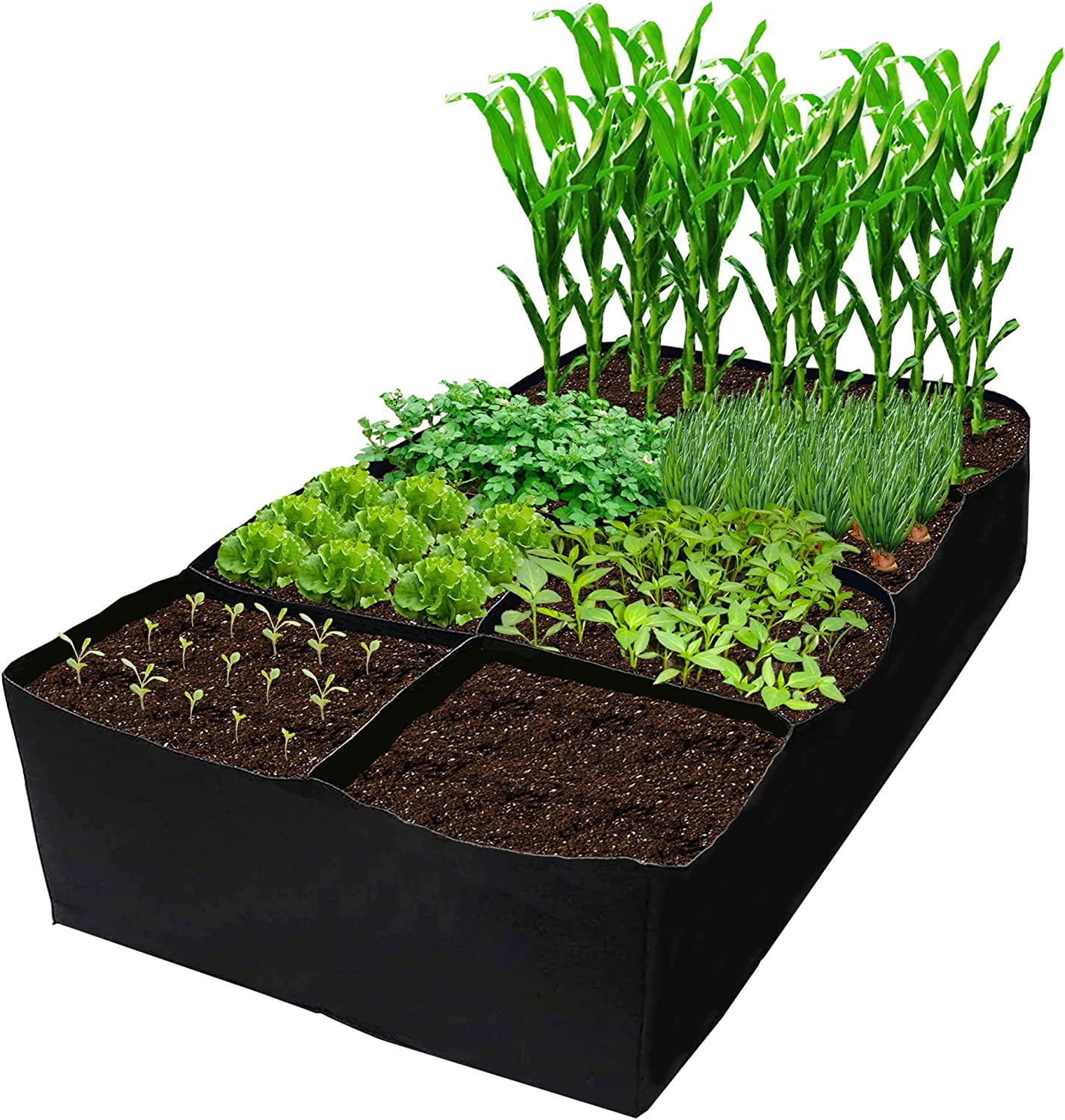 Fabric Raised Garden Bed 6x3x1ft Garden Grow Bed Bags for Growing Herbs ...