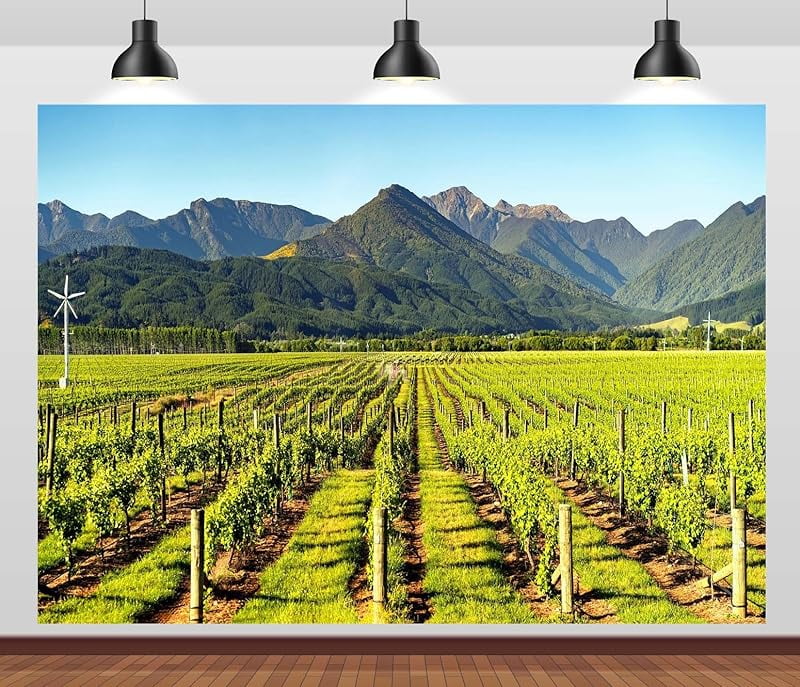 Fabric Vineyards Backdrop Tuscany Countryside Vineyard Mountain ...