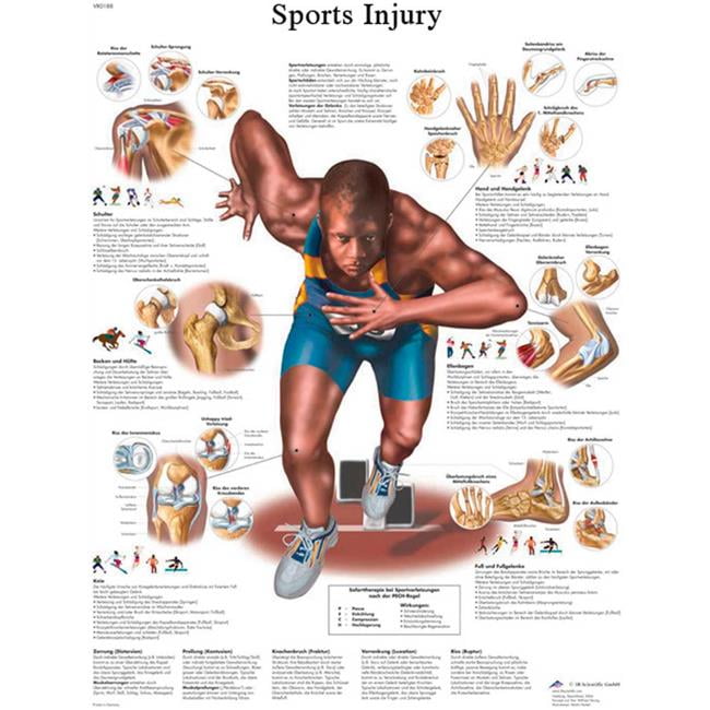 Fabrication B2138081 3B Anatomical Chart - Sports Injuries, Sticky Back - Walmart.com