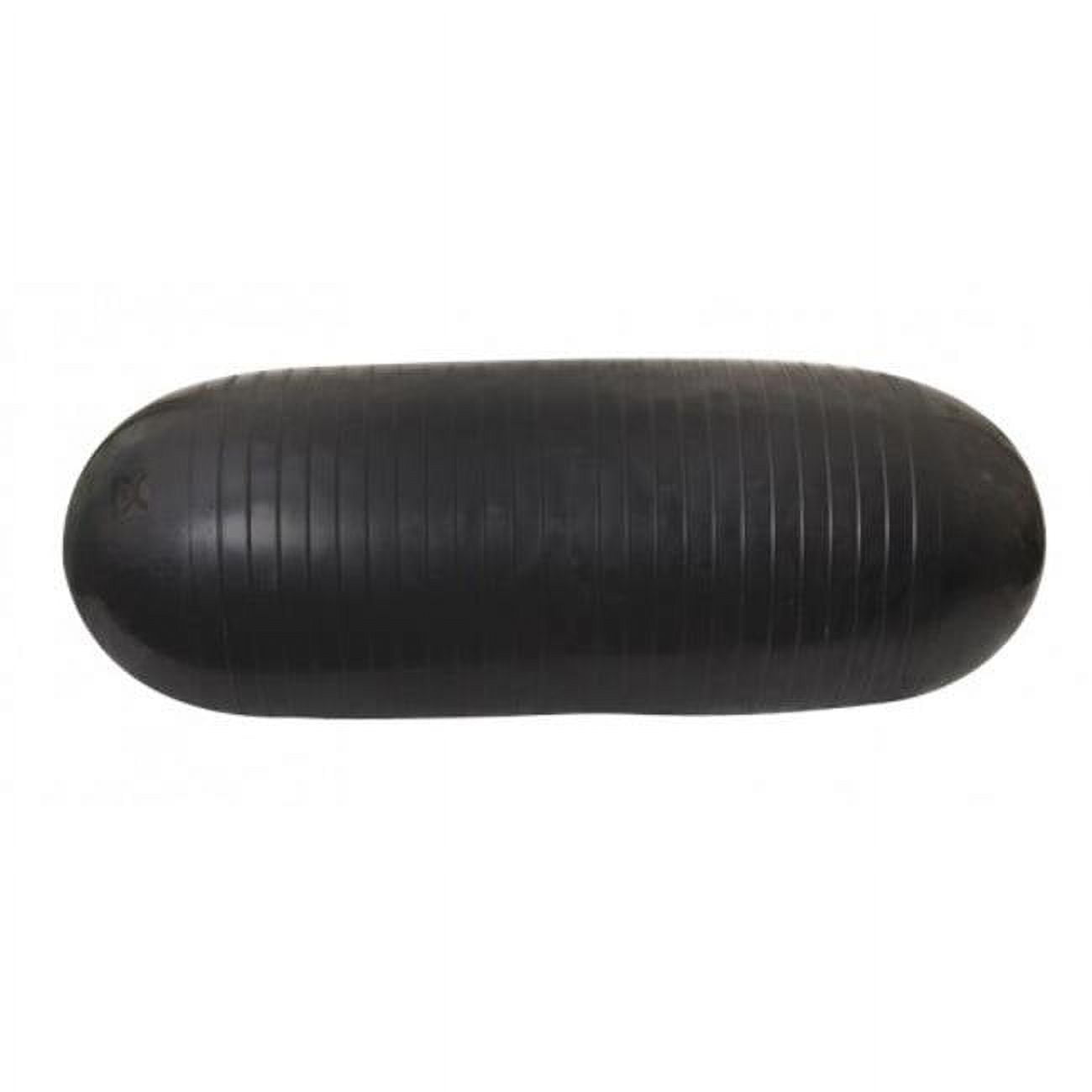 Fabrication Enterprises 30-2081 28 x 9 in. Inflatable Roller, Black ...