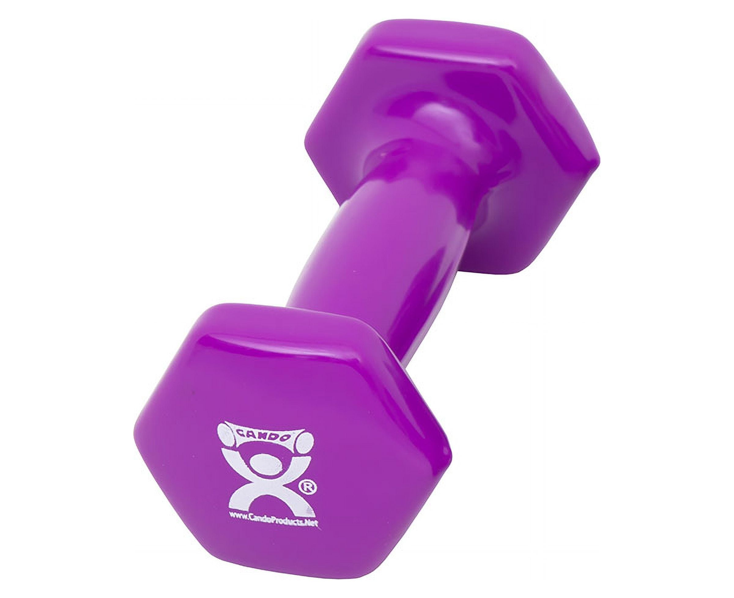 Fabrication Enterprises Vinyl-coated Iron Dumbbell, Violet, 2 lb ...
