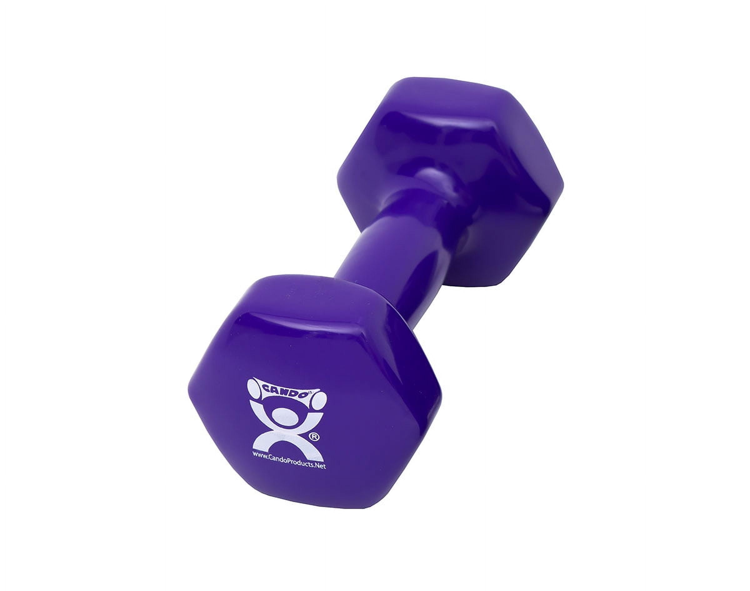 Fabrication Enterprises Vinyl-coated iron dumbbell, 7lb (Purple ...