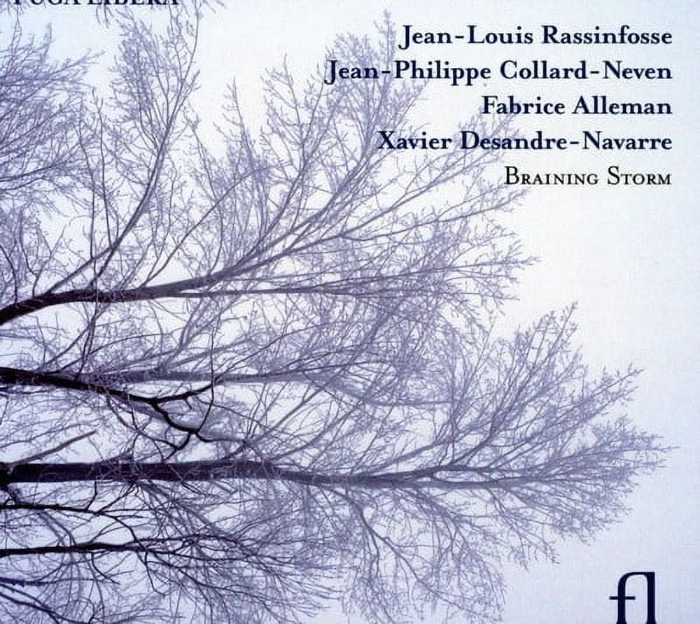 Fabrice Alleman - Braining Storm - Music & Performance - CD - Walmart.com