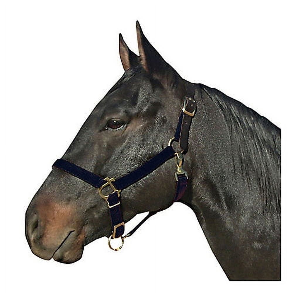 Fabtron Breakaway Crown Halter w/Snap Average Blac - Walmart.com