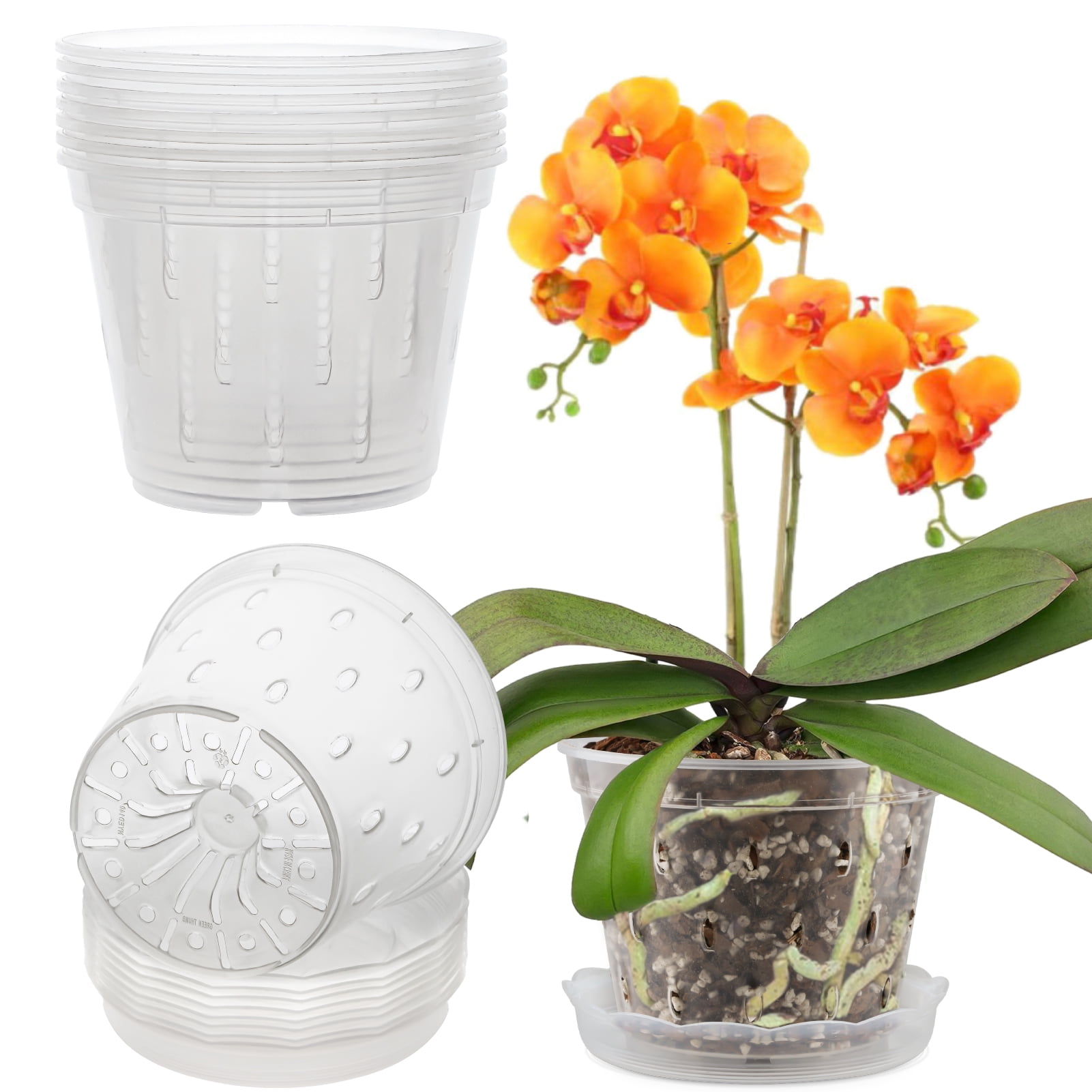Fabulas 8 Clear Plastic Orchid Pots 5.5 Inch with Holes and Saucers for ...