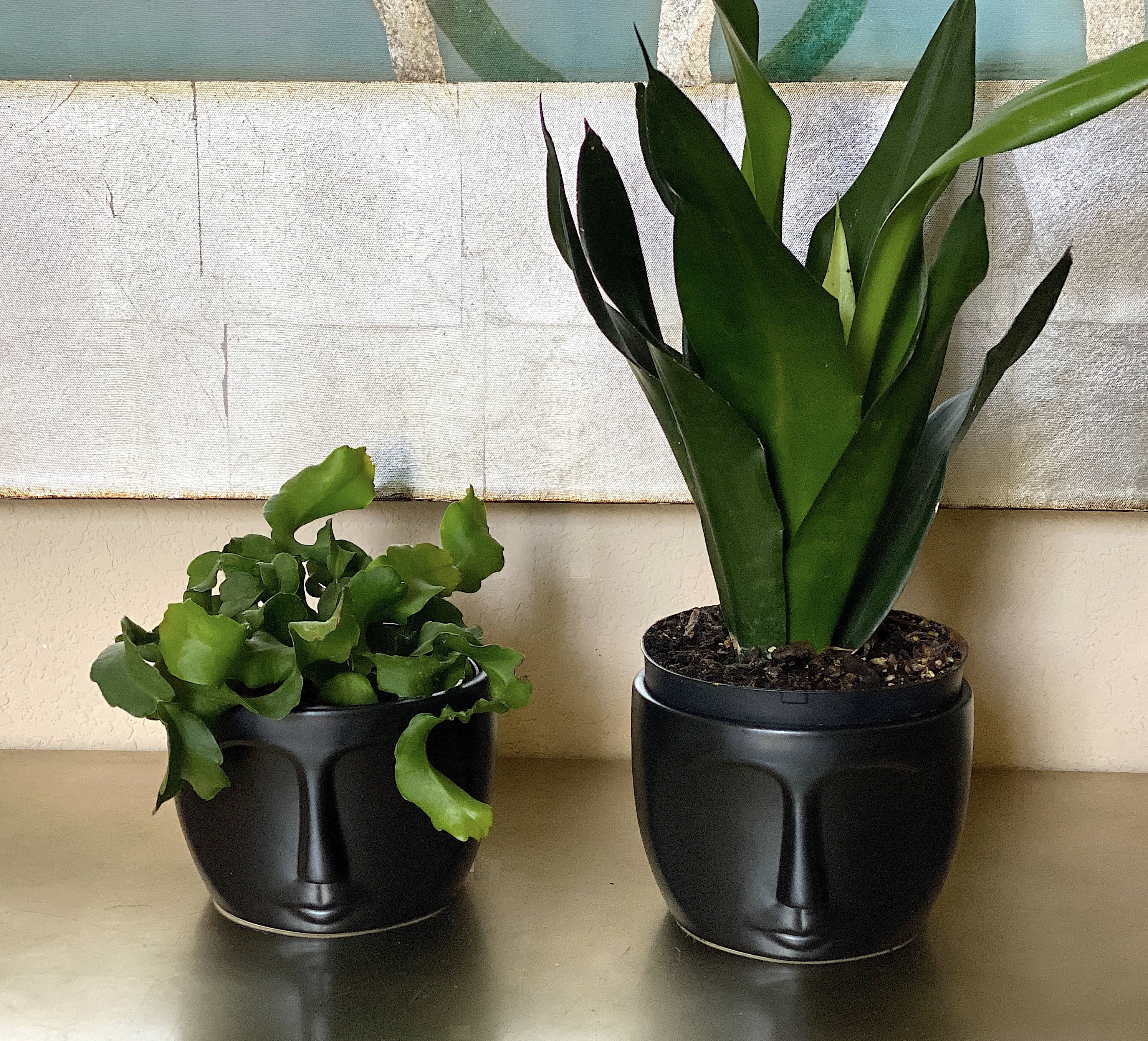 Face Head Planters Large Black Matte Cool Boho Pots Decorative Ceramic ...