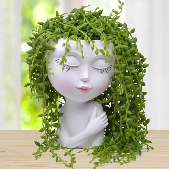 Face Planter, Head Planters for Indoor Plants, Cute Succulent Pot ...