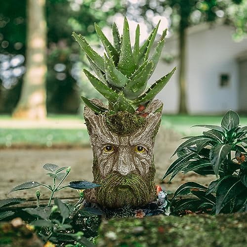Face Planter - Unique Old Man Tree Face Planters for Outdoor Indoor ...