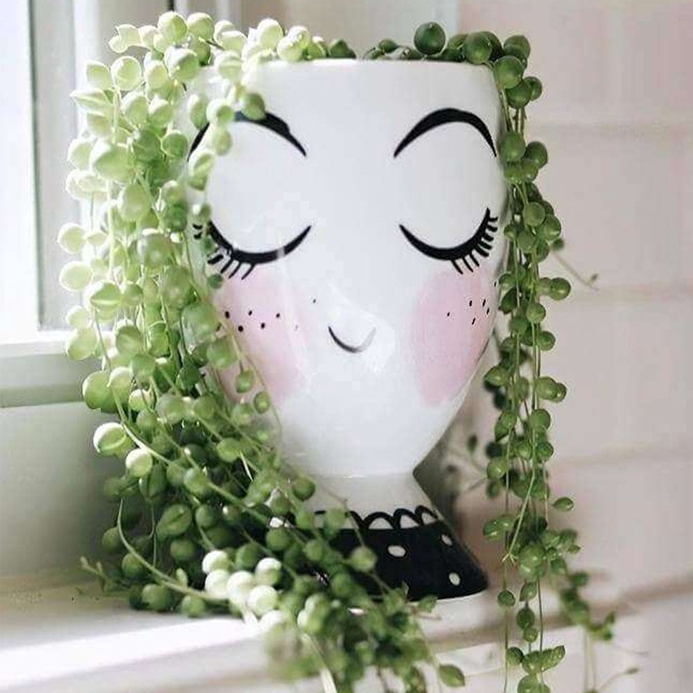 Face Pot Planter Vase | Succulent Vase | Flower Pot | Makeup Brush ...