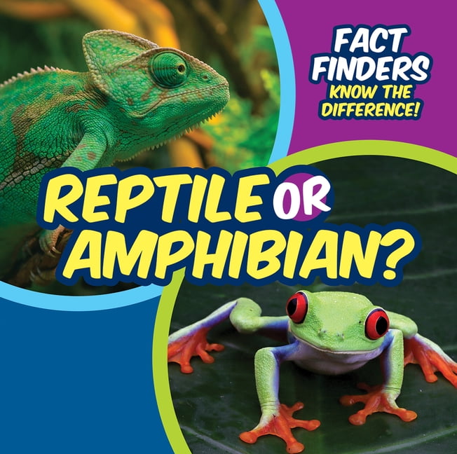 Fact Finders: Know the Difference! Reptile or Amphibian?, (Paperback ...