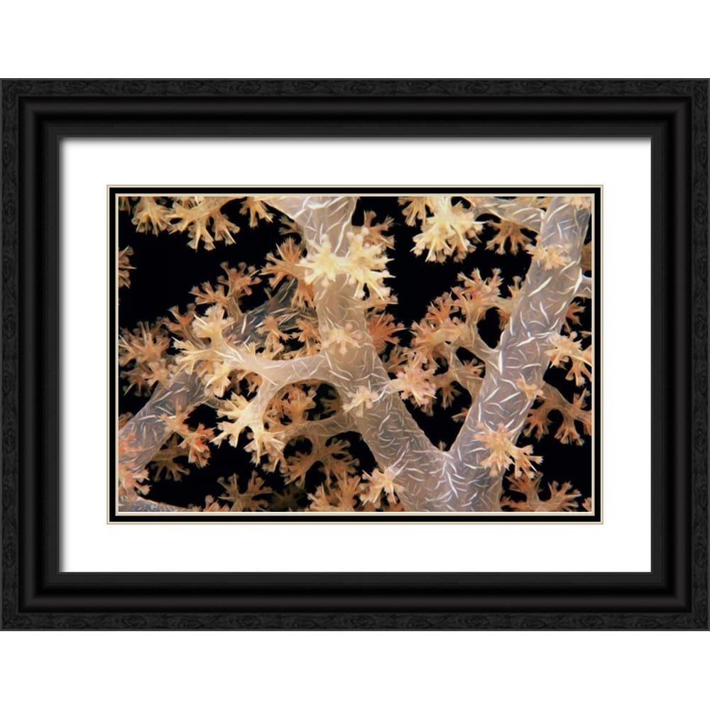 Factor, Beverly 24x17 Black Ornate Wood Framed with Double Matting ...