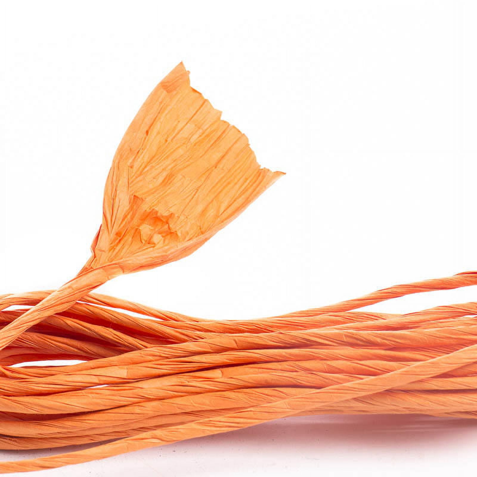 Factory Direct Craft 72 Yards of Colorful Orange Paper Twist Ribbon ...