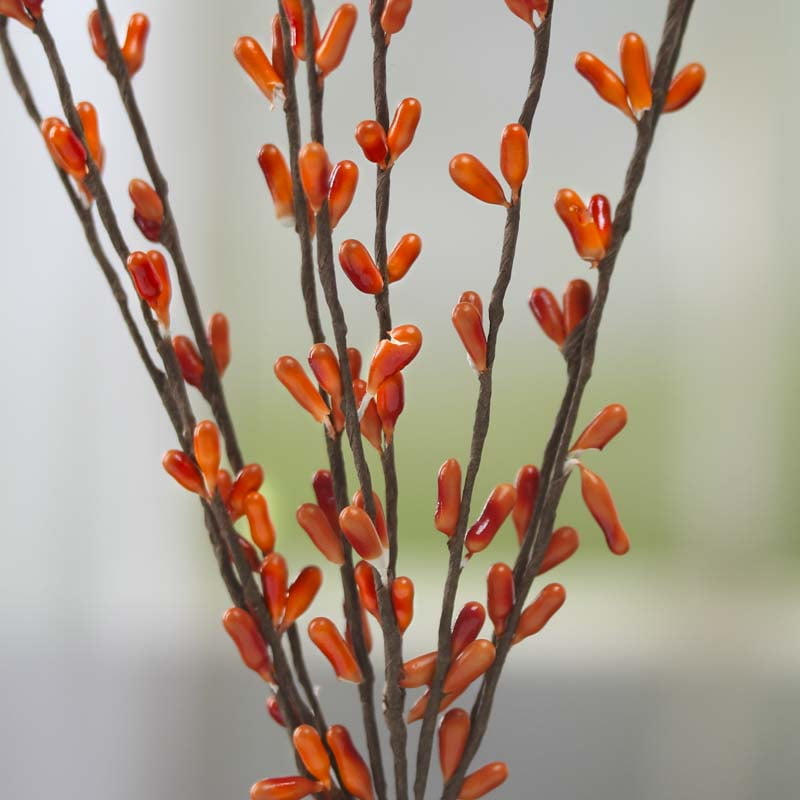 Factory Direct Craft Orange Pip Berry Spray - Walmart.com