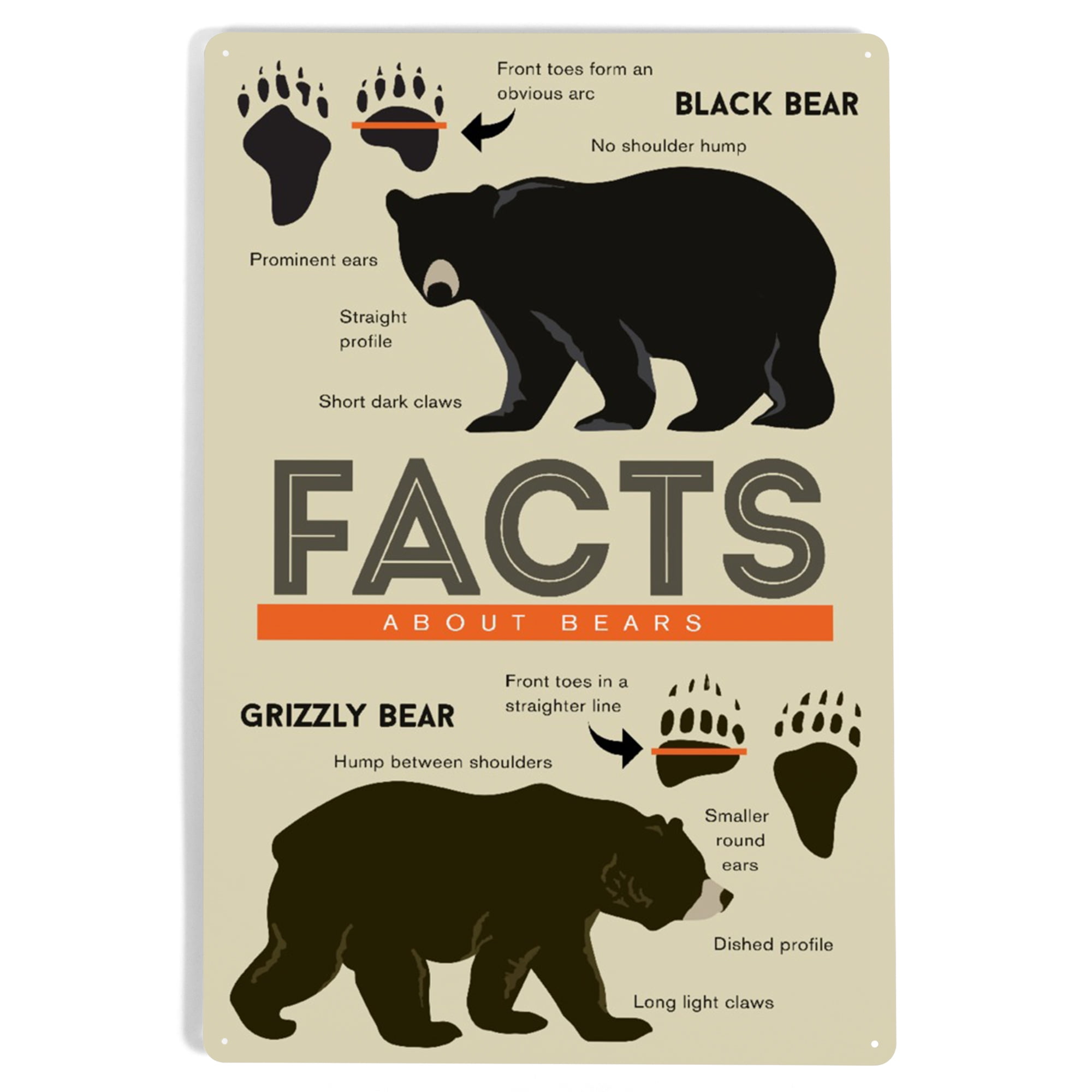 Facts About Bears, Grizzly and Black Bear (12x18 Aluminum Art, Indoor ...