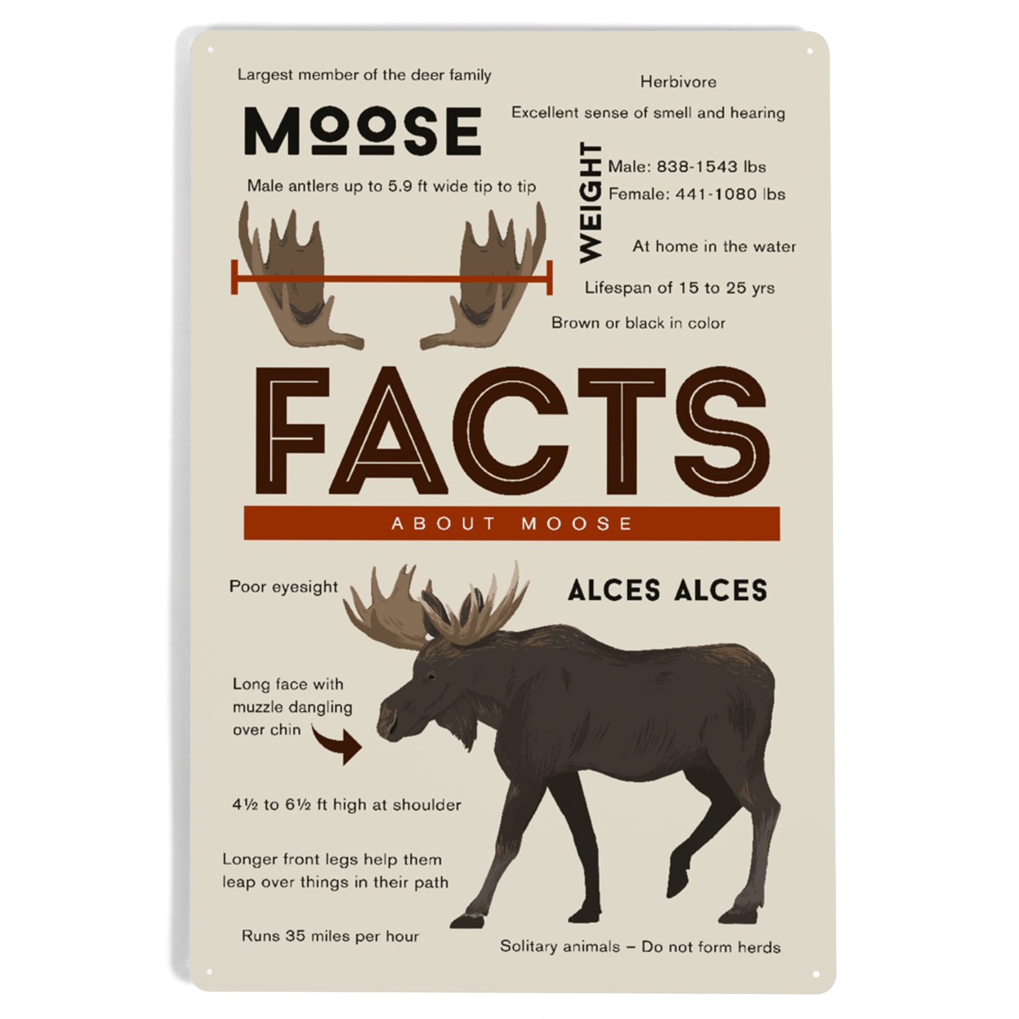 Facts About Moose (12x18 Aluminum Art, Indoor Outdoor Metal Sign Decor ...