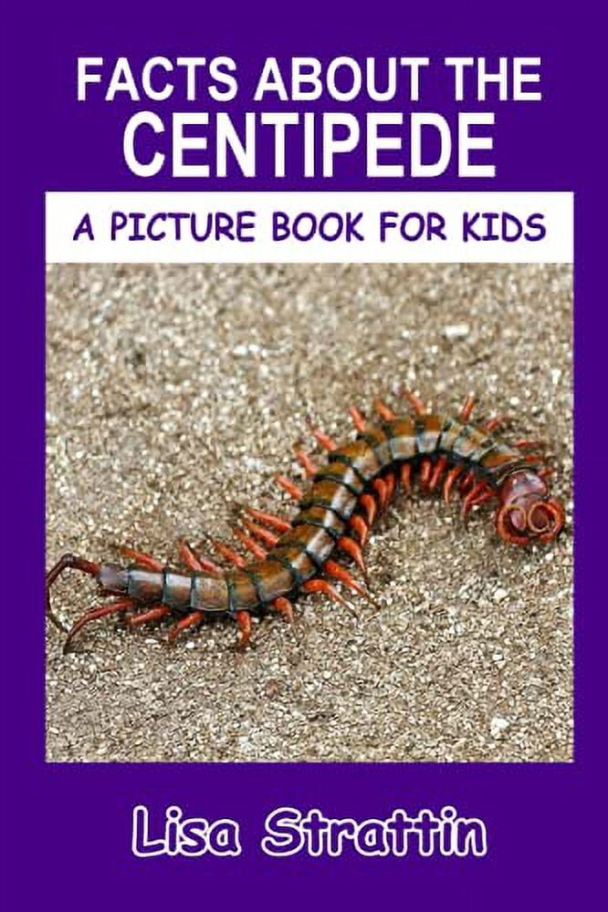 Pre-Owned Facts About the Centipede (A Picture Book For Kids) Paperback ...