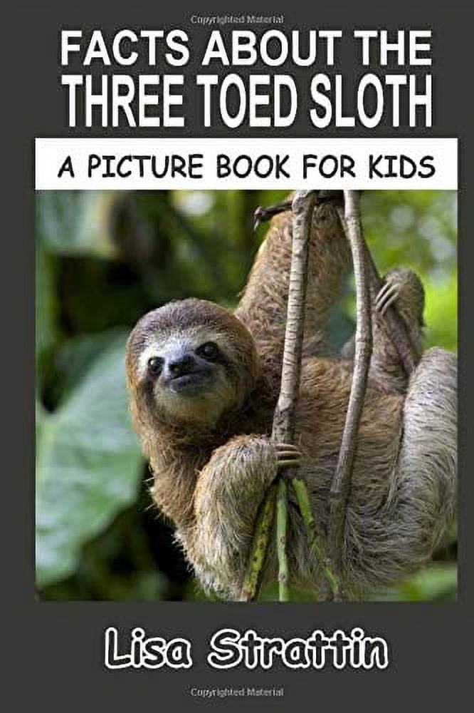Pre-Owned Facts About the Three Toed Sloth (Facts for Kids, Vol 129 ...