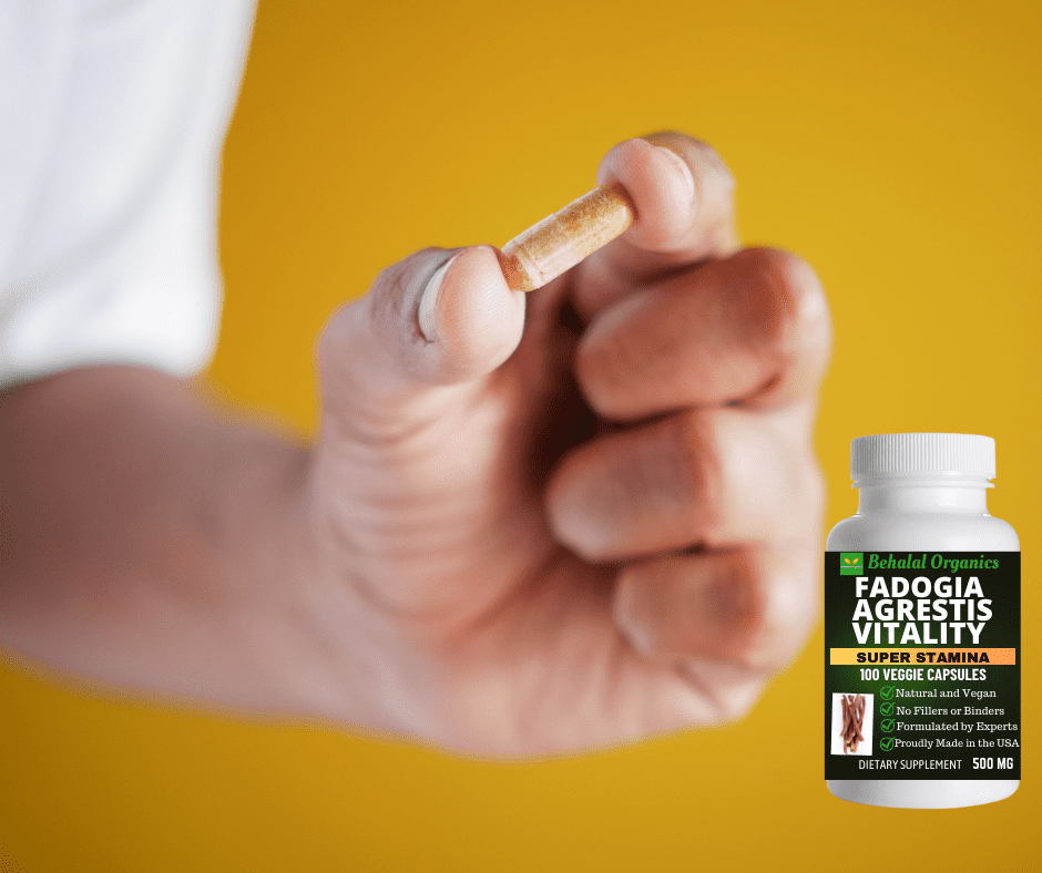 Fadogia Agrestis 500mg Powerful Extract to Support Athletic Performance ...