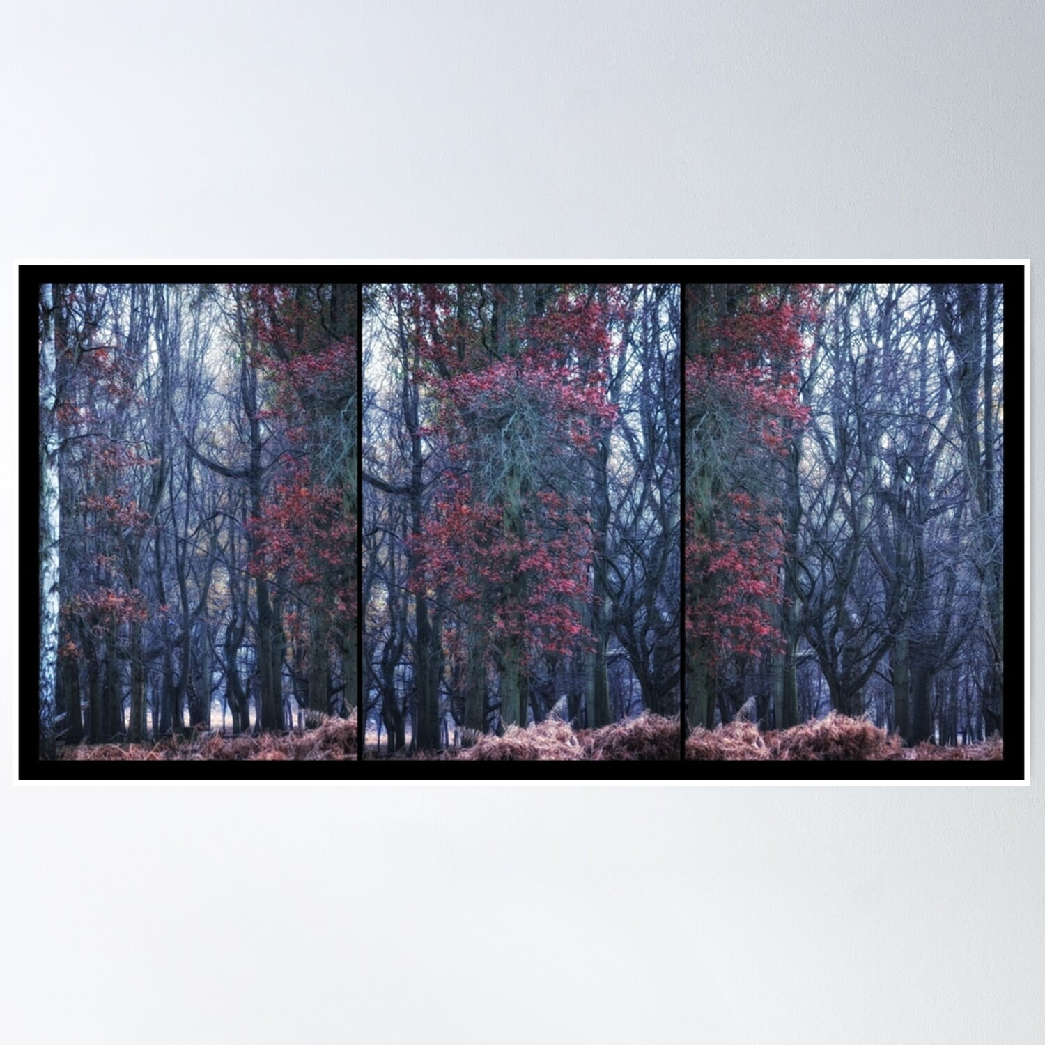 Faerie Trees ~ Fairy Trees With No Blurred Background Poster Wall Art ...
