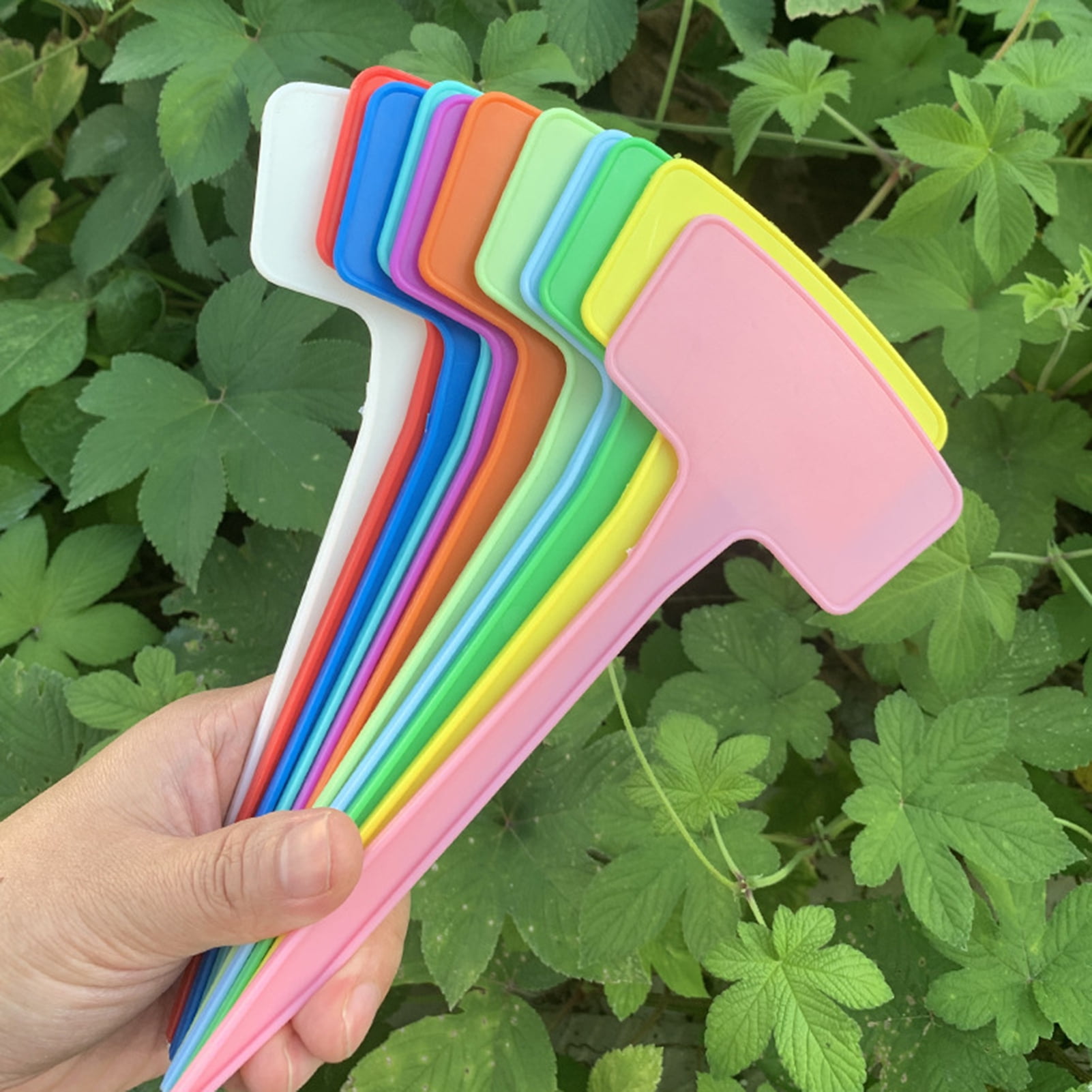 Fairnull 10Pcs/Set Plant Labels Waterproof Insert Design Solid Color T ...