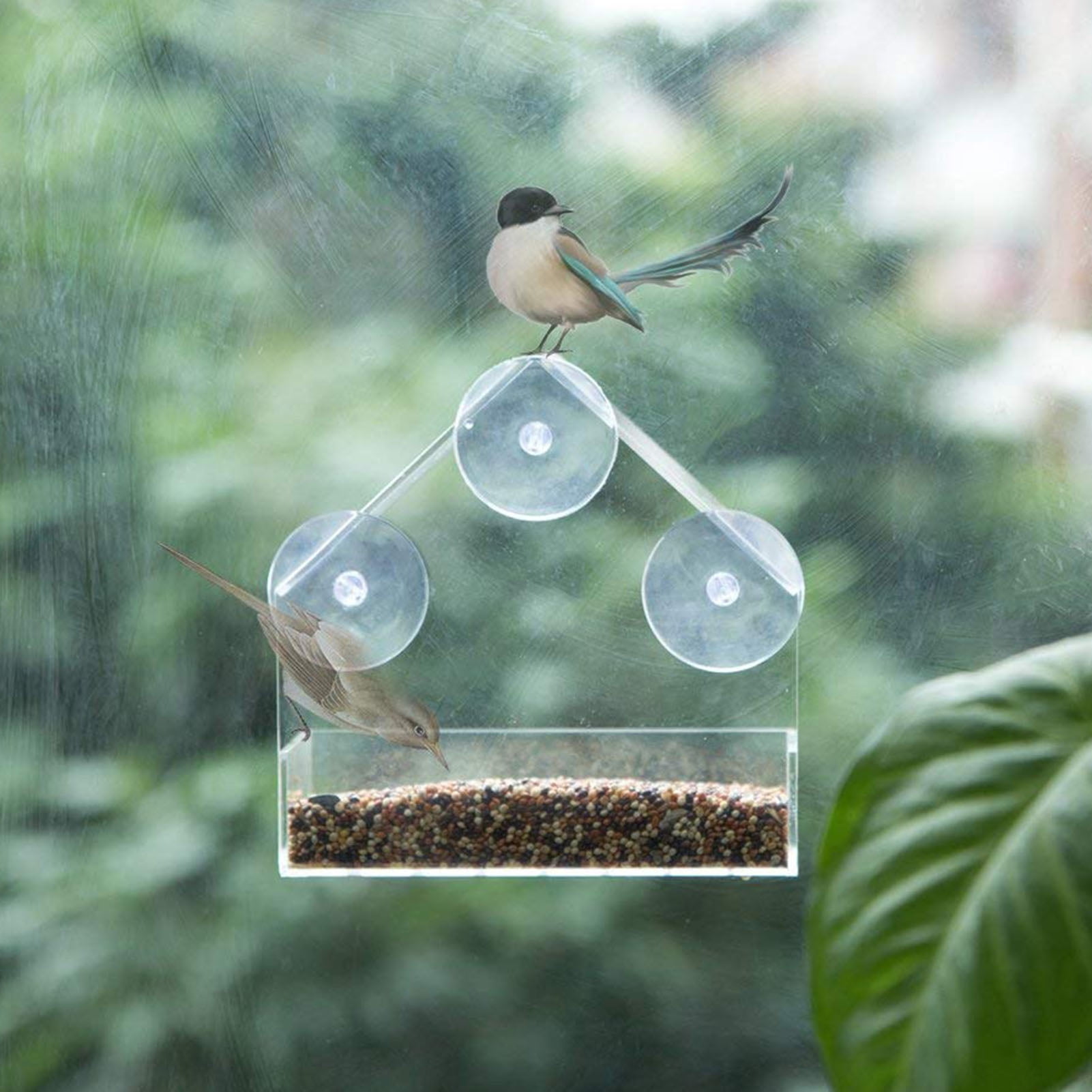 Fairnull Acrylic Transparent Bird Feeder Suction Cup Mounted Birdhouse ...