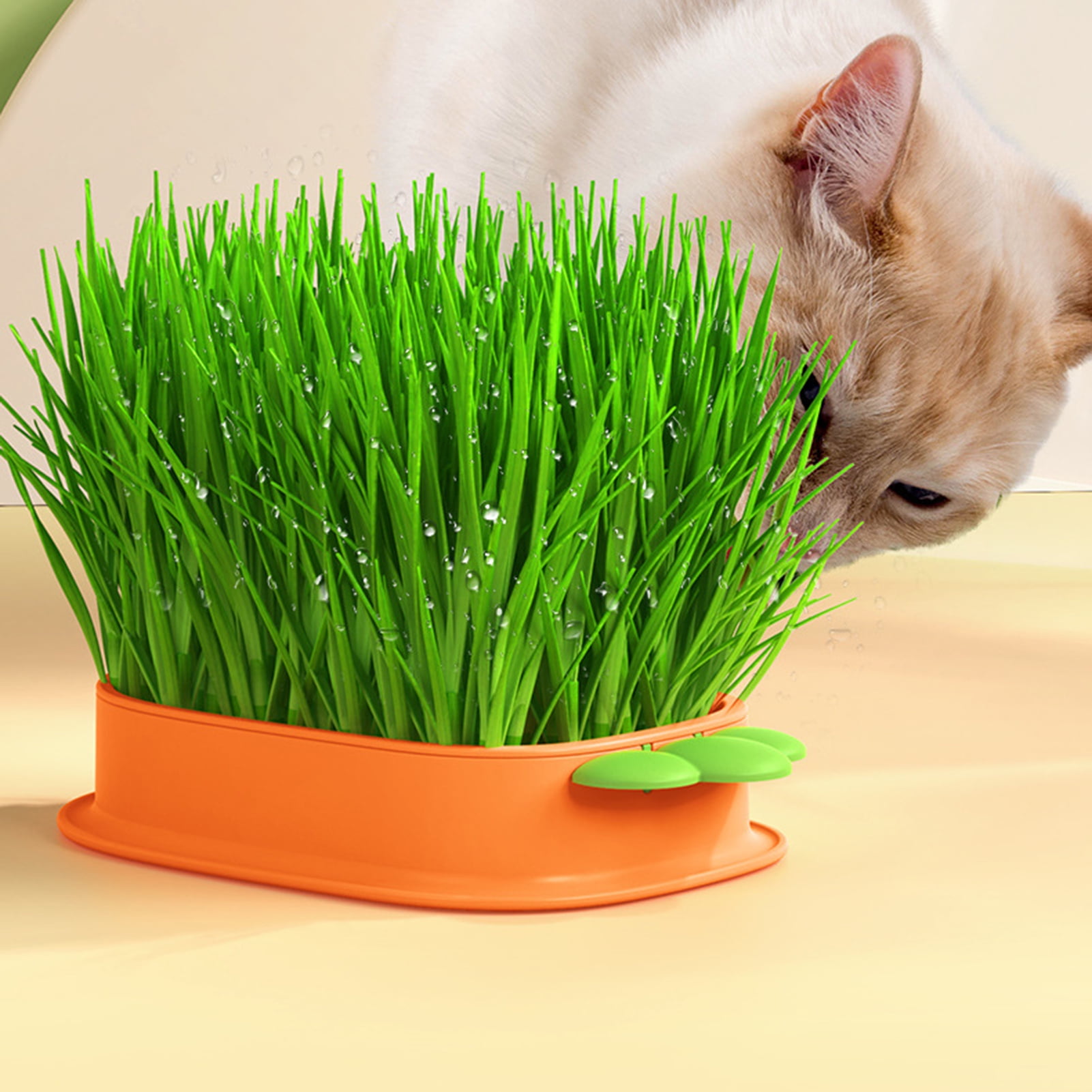 Fairnull Cat Grass Planter Carrot Shape Layered Design Hollow Grid ...