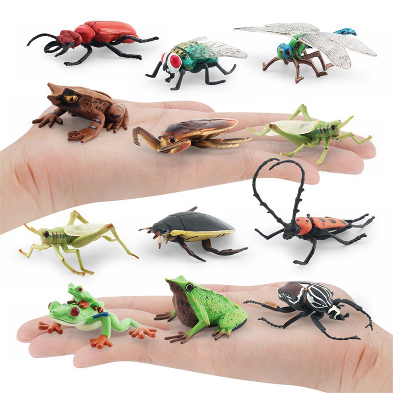 Fairnull Insect Model Vivid Look Grasshopper Dragonfly Frog Miniature ...