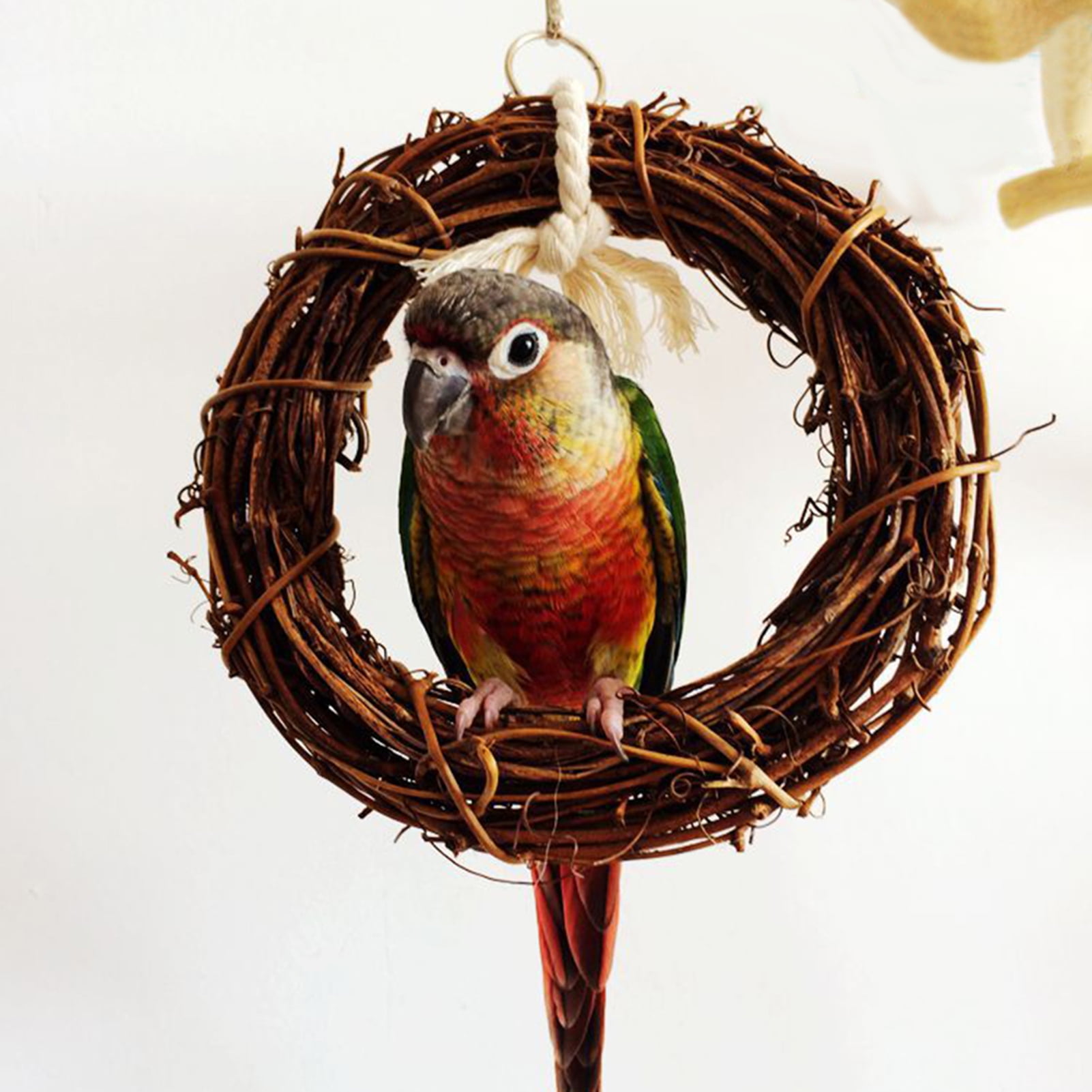 Fairnull Parrot Swing Toy Safe Natural Natural Vine Swing Toy Cockatiel ...
