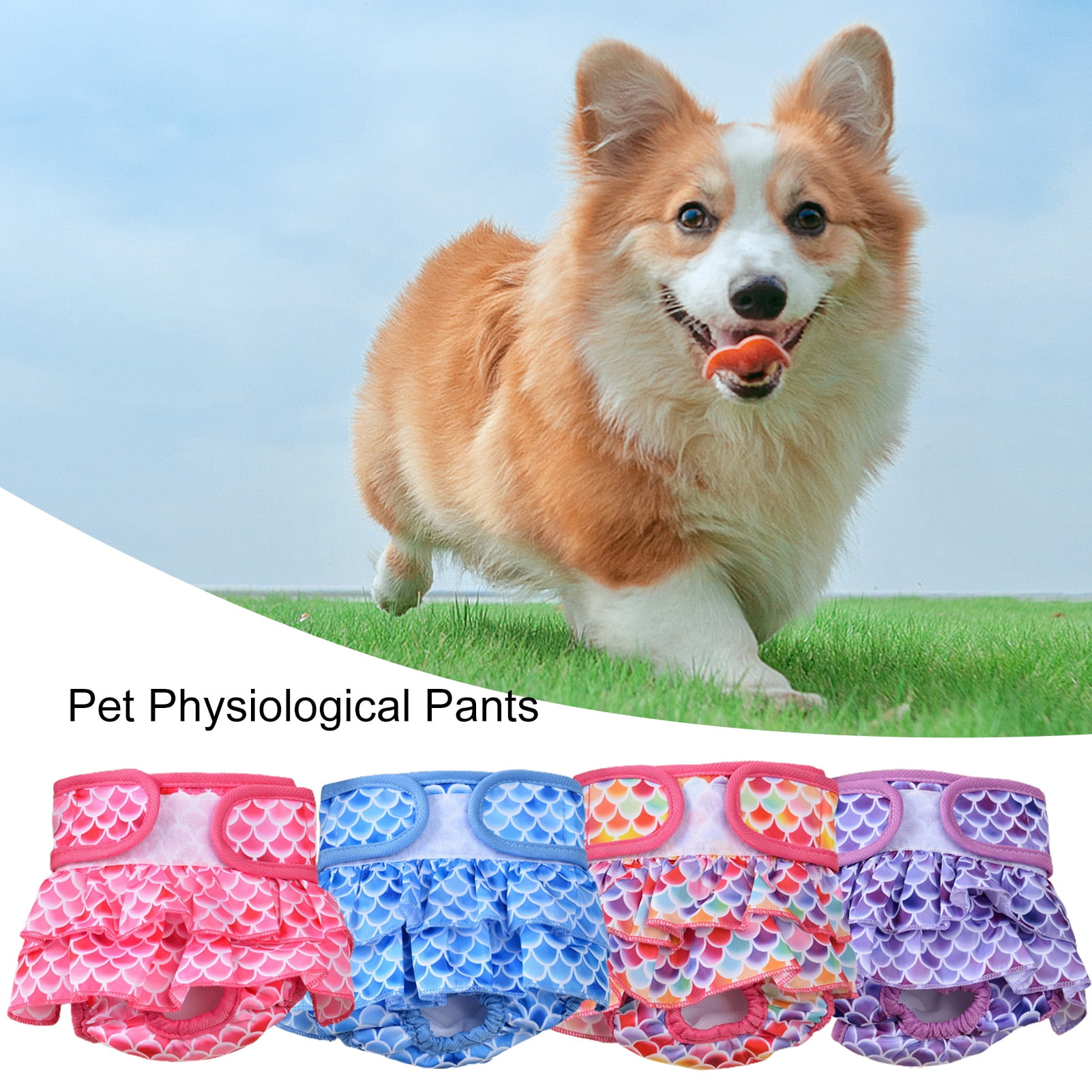 Fairnull Pet Sanitary Pant High Absorbency Leak-Proof Fastener Tape ...