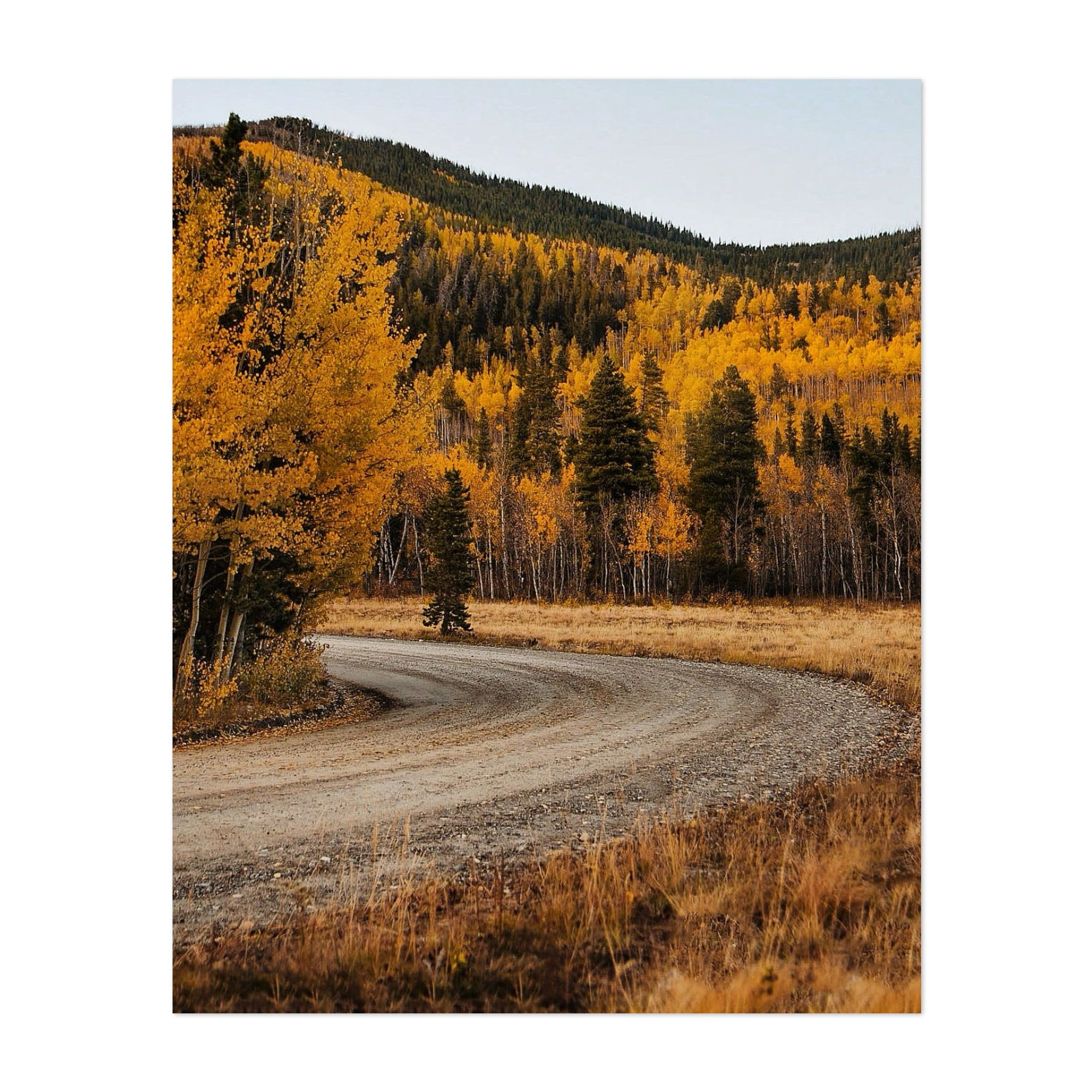 Fairplay Golden Road - Fairplay Colorado Photography Autumn Forest ...