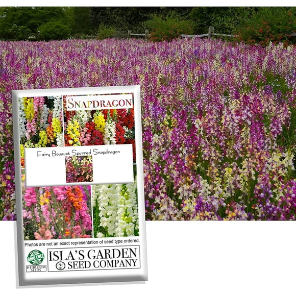 Snapdragon Bouquet