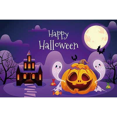Fairy Hallowe02 Photography Backdrop Purple Castle Childr Enchanted ...
