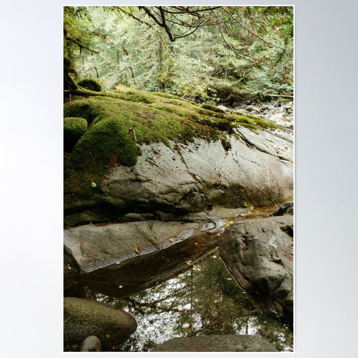 Fairy Pool Poster Wall Art, Modern Wall Decor For Living Room Bedroom ...