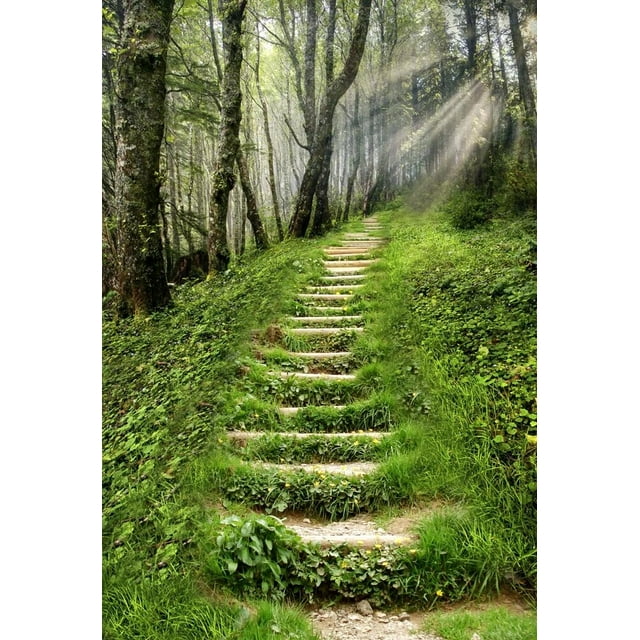 Fairy Tale Forest Backdrop Jungle Tropical Myesterious Forest Trees ...