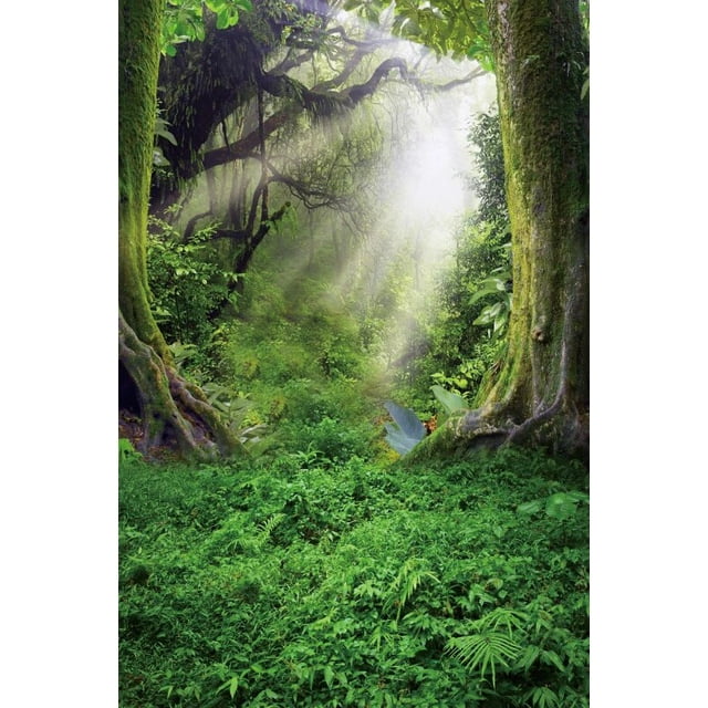 Fairy Tale Forest Backdrop Jungle Tropical Myesterious Forest Trees ...