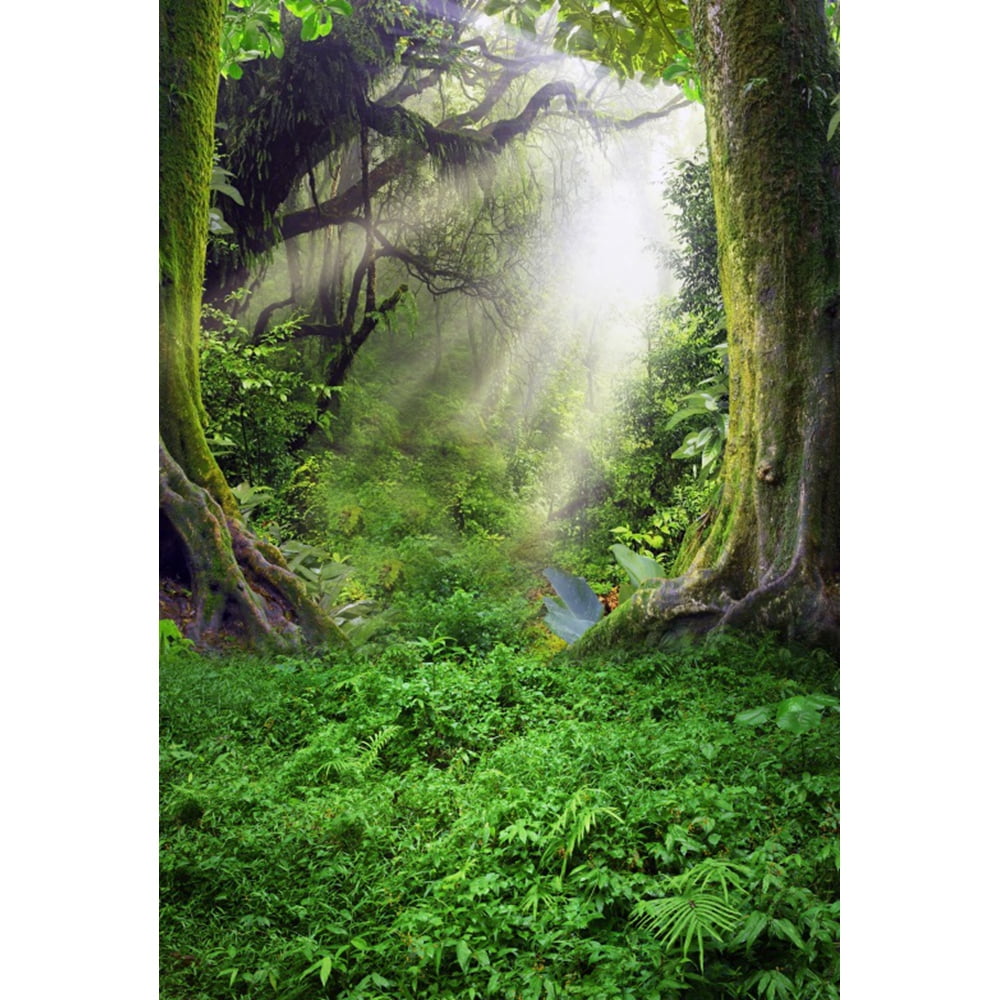 Fairy Tale Wonderland Dream Forest Backdrop Spring Jungle Castle Nature ...