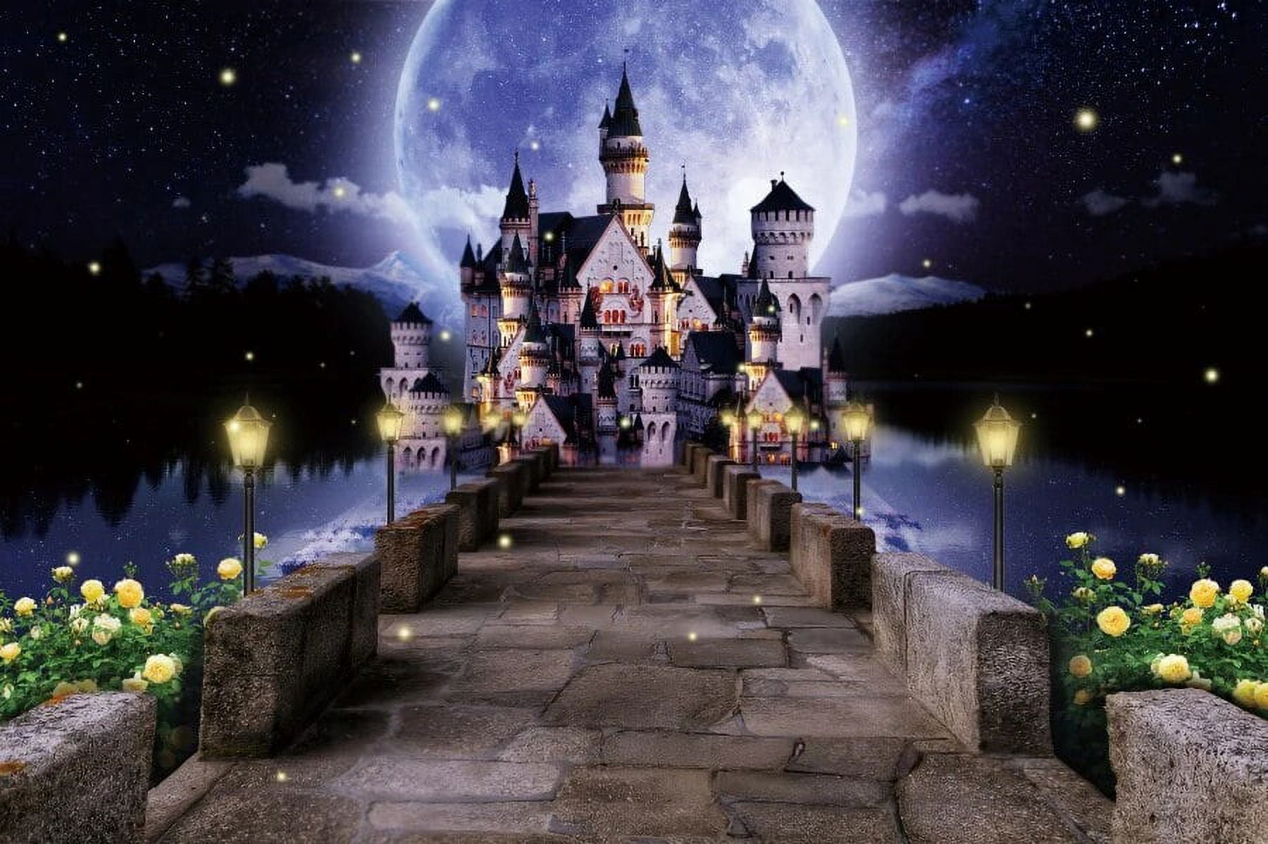 Fairy Tale Wonderland Fantasy Palace ss Castle Photography Background ...
