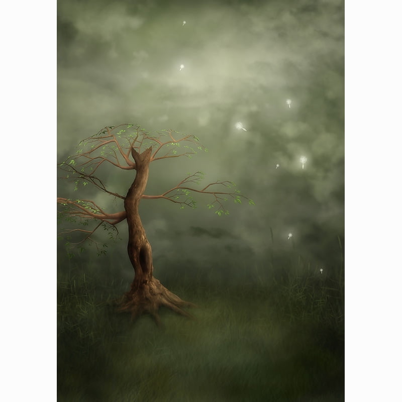 Fairy Tale Wonderland Forest Jungle Fairy Dreamy Photo Backdrops ...