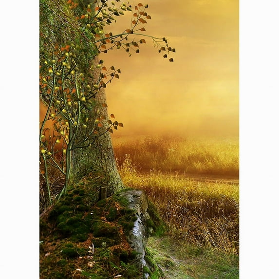 Fairy Tale Wonderland Forest Jungle Fairy Dreamy Photo Backdrops ...