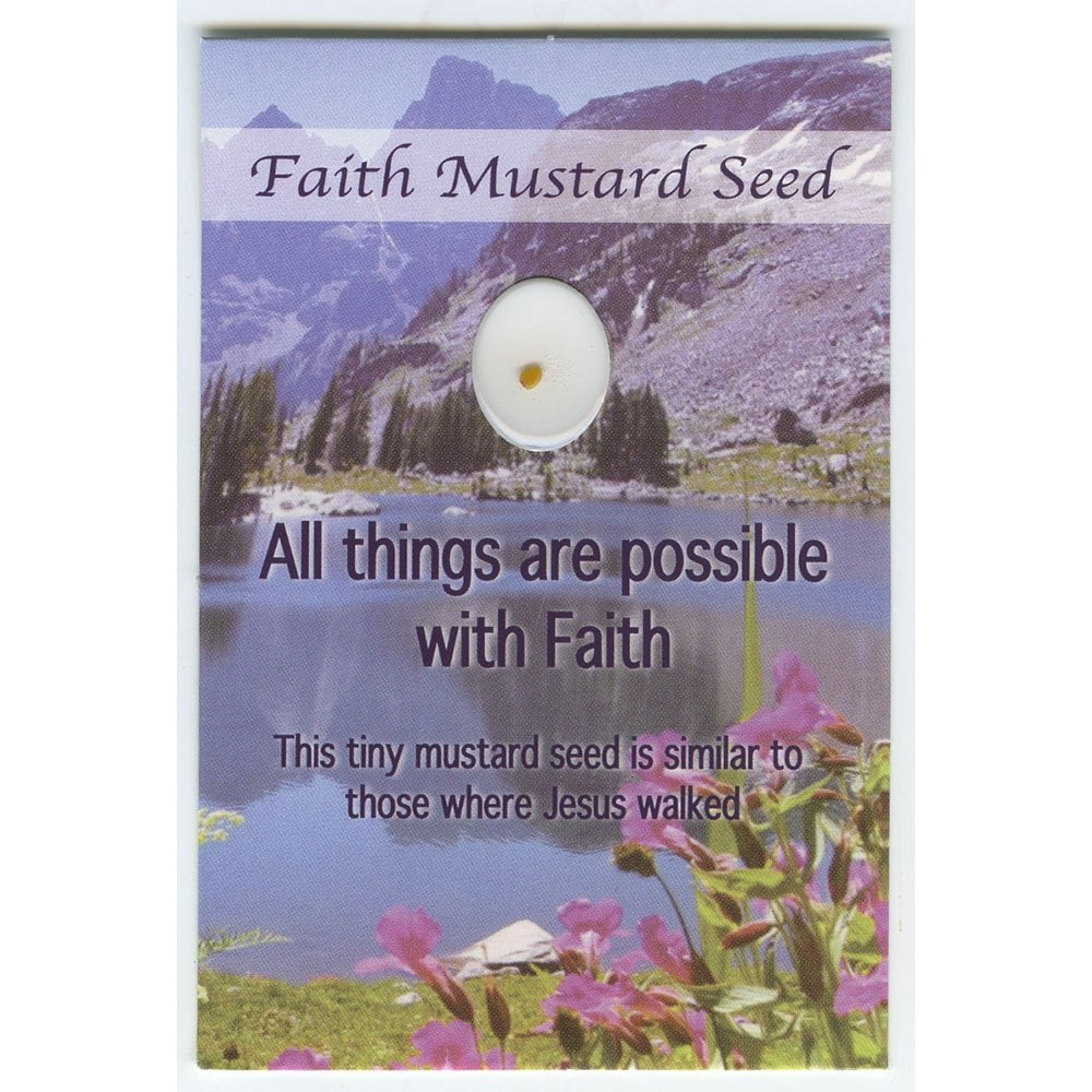 Faith Mustard Seed Wallet Cards with Genuine Seed, Pack of 12 - Walmart.com