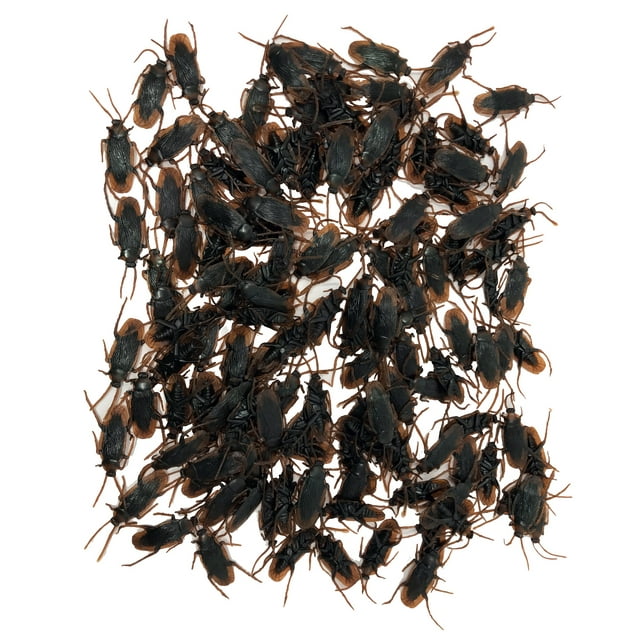 Fake Cockroaches 144-Disgusting Real Looking Plastic Fake Bugs-Gross ...