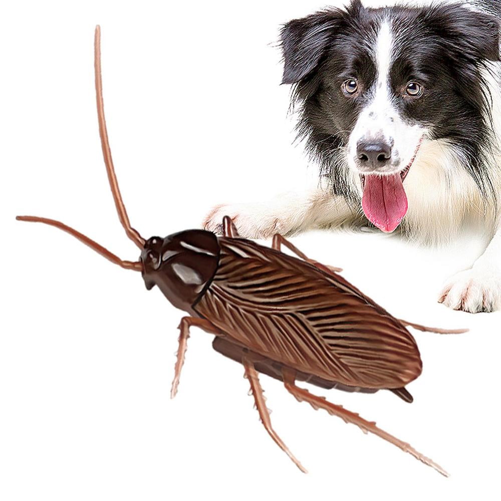 Fake Cockroaches Halloween Electric Spider Fake Cockroach Toy Wireless ...