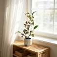 Fake Desk Plant High-End Artificial Fruit Bonsai With Bonzie Tree ...