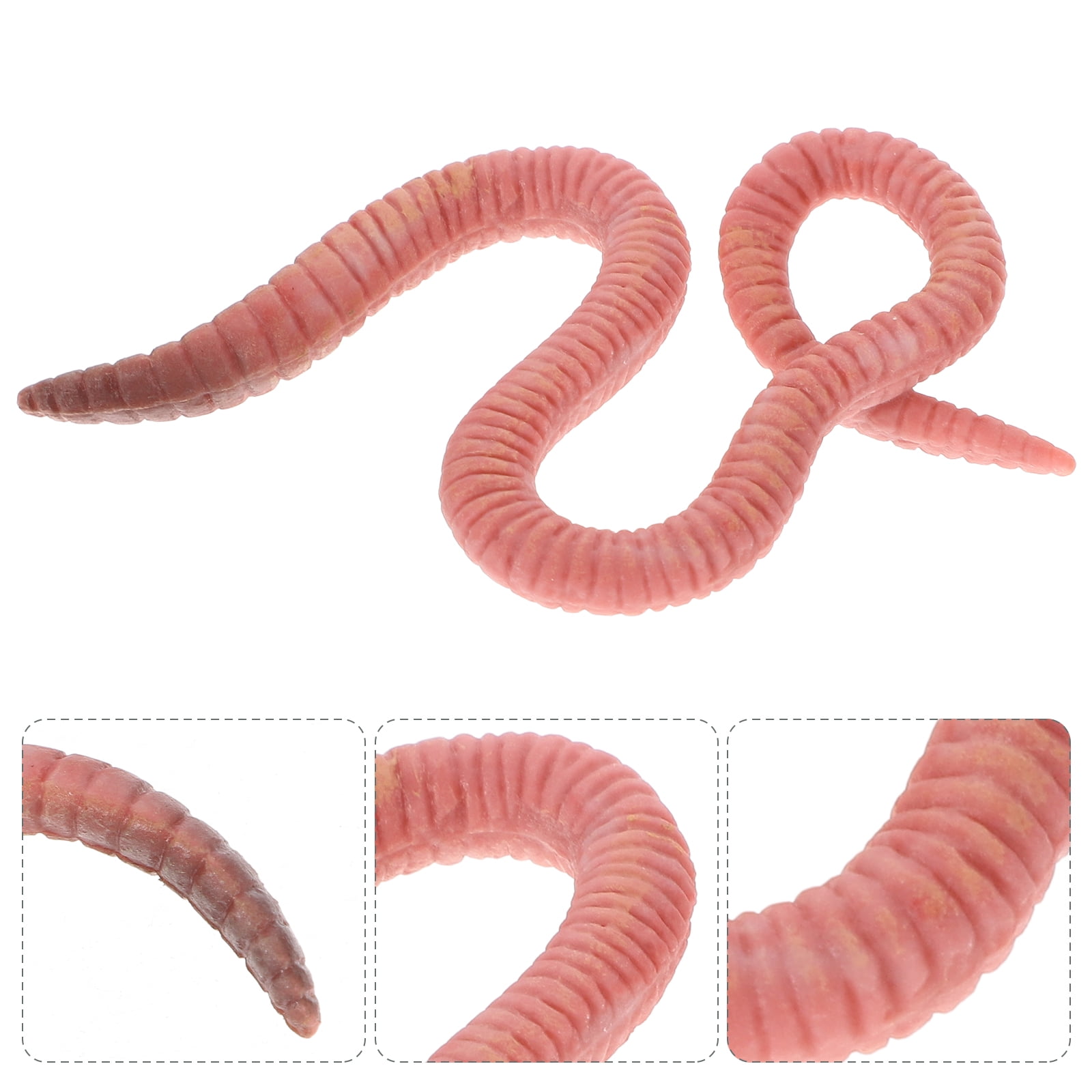 Fake Earthworm Model Simulation Insect Model Plastic Insect Model ...