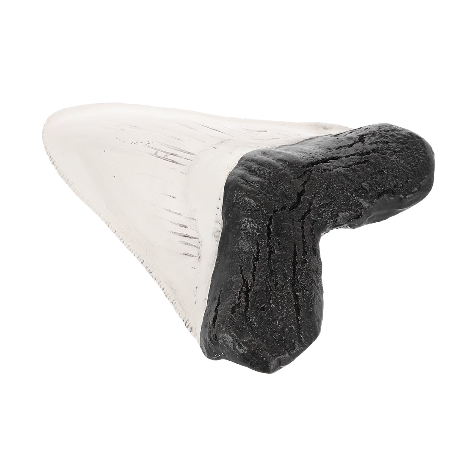 Fake Fossilized Prehistoric Shark Teeth Realistic Shark Teeth ...