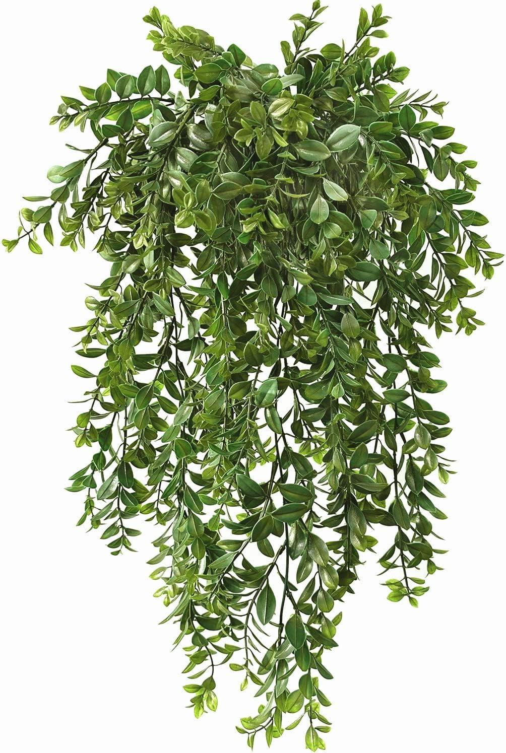 Foliage fake store