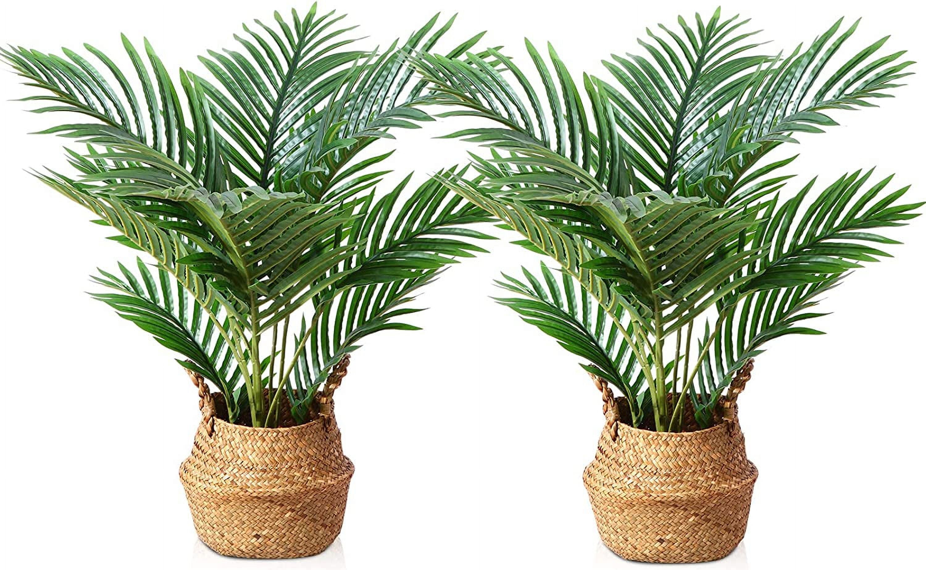 Fake Majesty Palm Plant 2Ft Artificial Plants for Home Decor Indoor ...